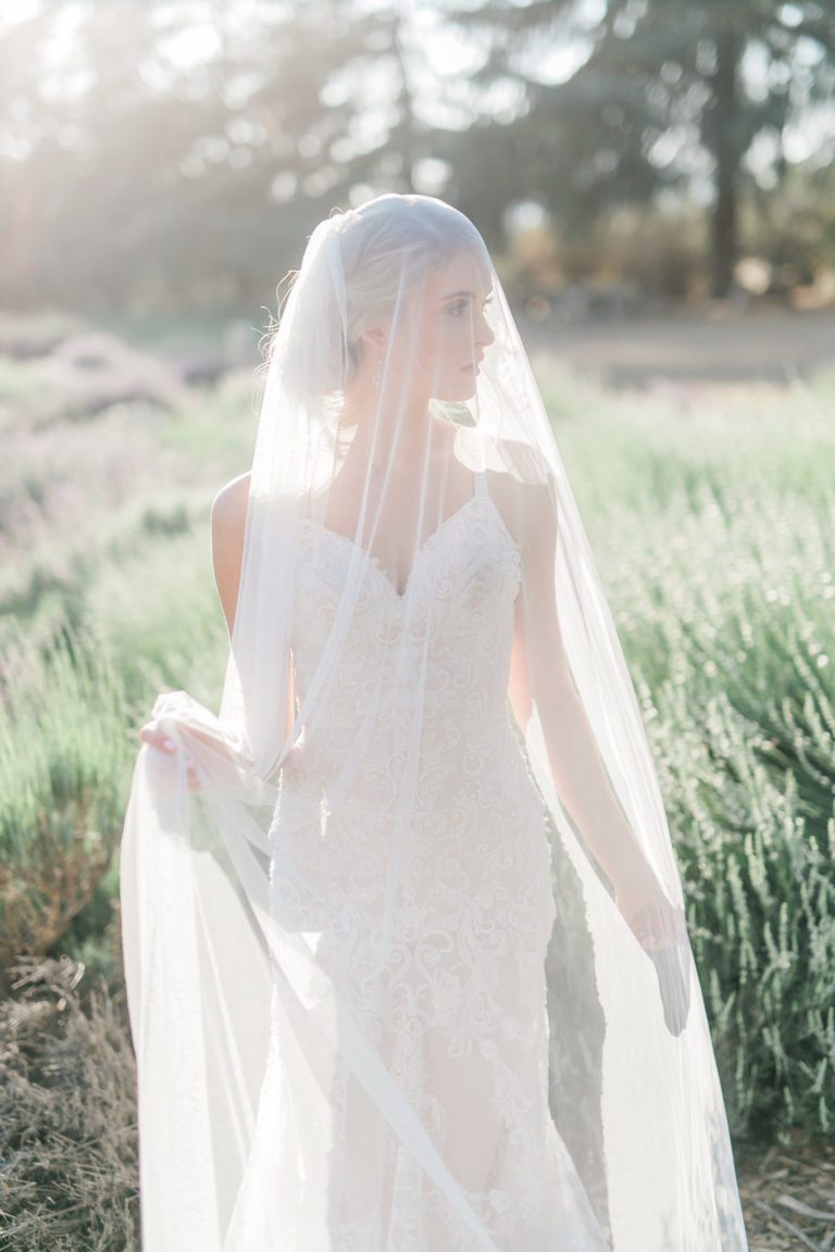 Highland Springs Farm - A Wedding in fields of Lavender - All About ...